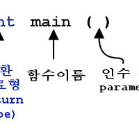 4 byte float format (float 형의 실수 저장 방식)