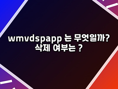 wmvdspapp 는 무엇일까? 삭제 여부는