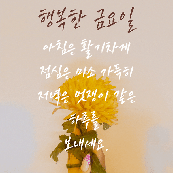나의 건강 일지