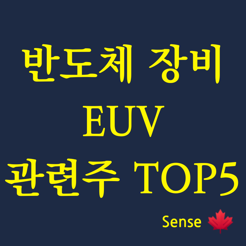반도체 장비 EUV 관련주 TOP5｜급등주 및 전망 총정리
